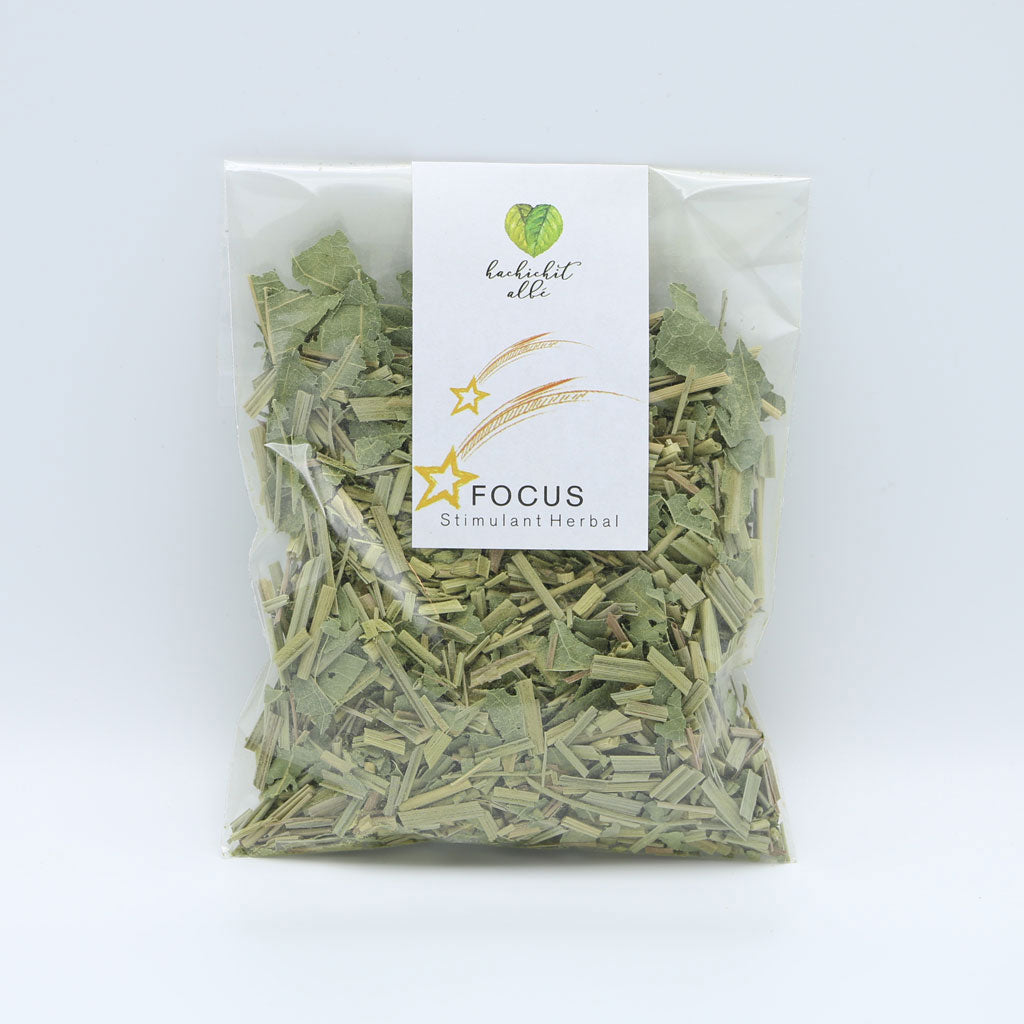 Focus – Hachichit Albé